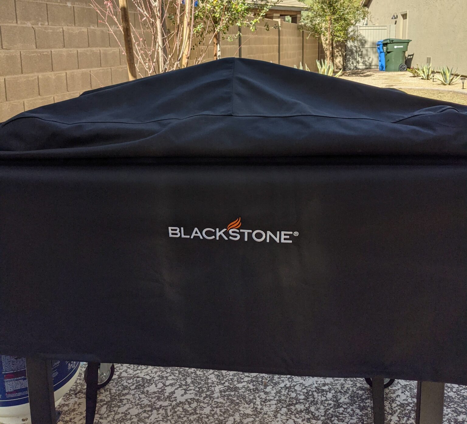 10 Helpful Blackstone Griddle Tips and Tricks